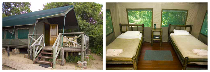 20 Days in Kruger National Park for $30.14 per night – | JustWander.in