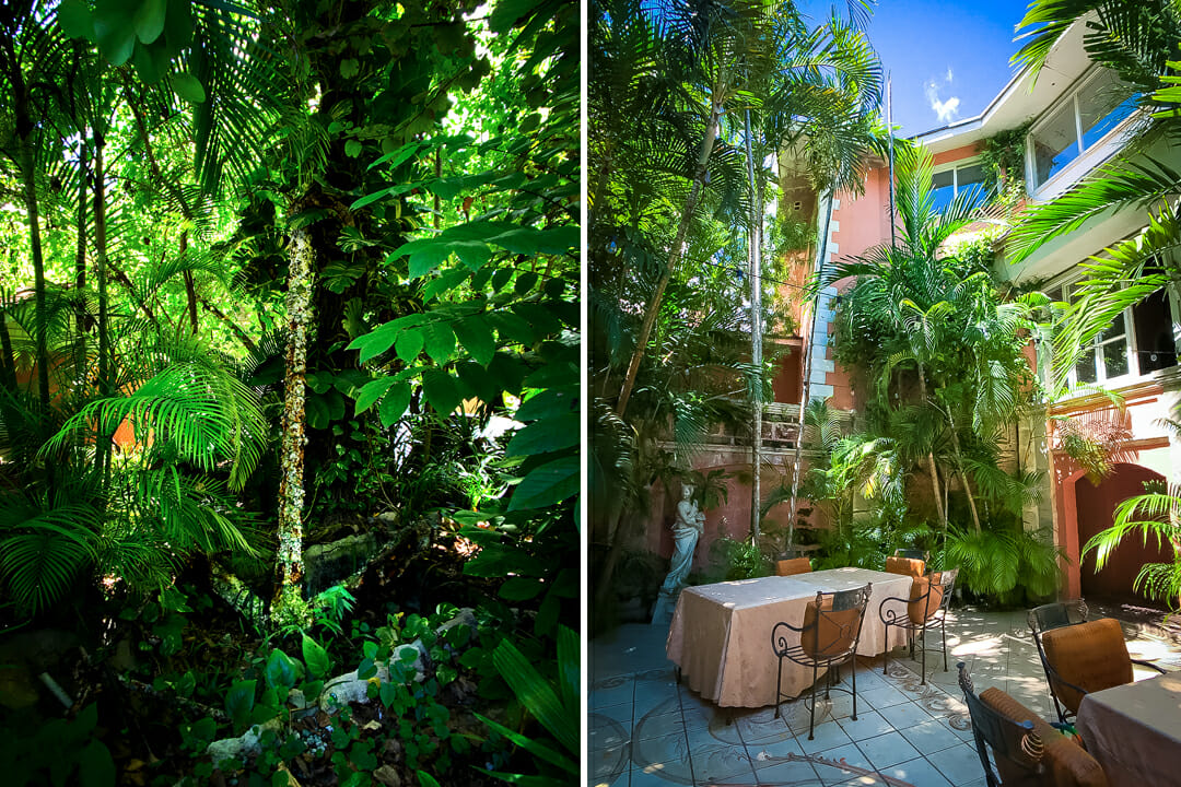 Historic & Culinary “Must-Eat” Tastings Walking Tour (Nassau, Bahamas ...